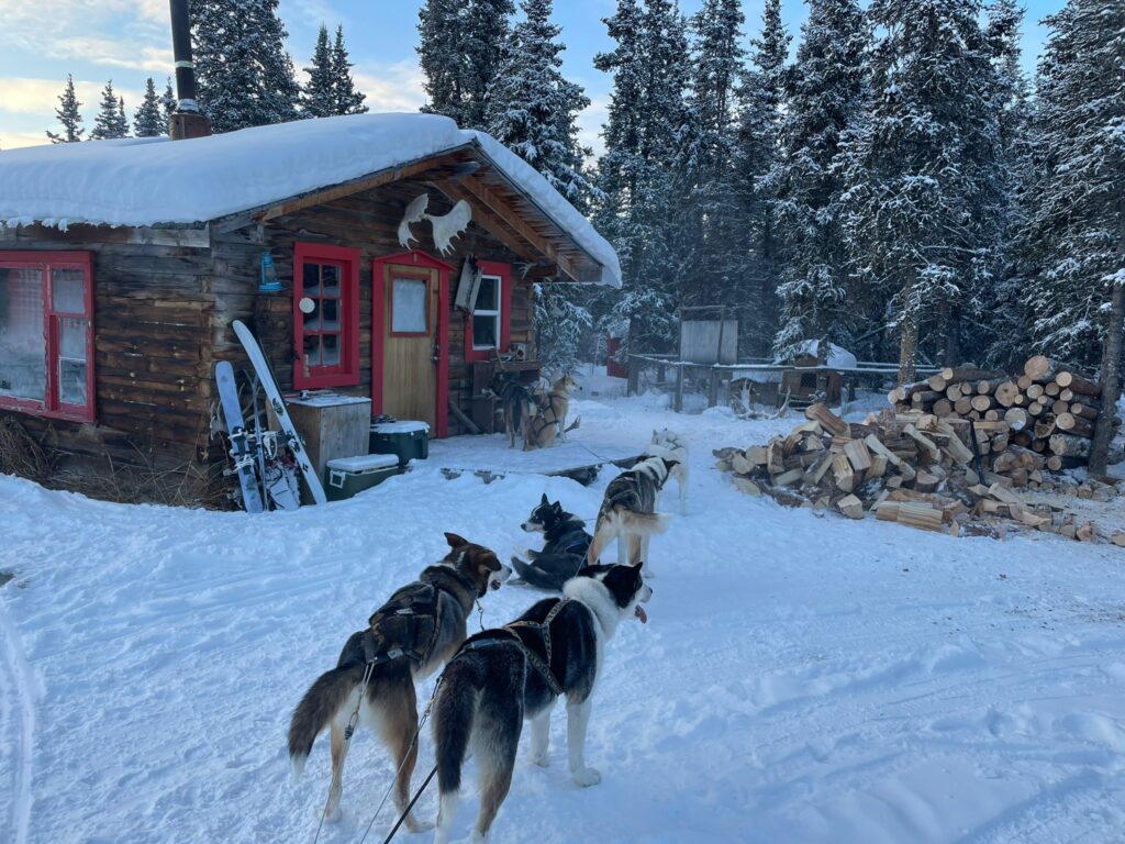 Discover Rugged North Expeditions: Authentic Wilderness Journeys